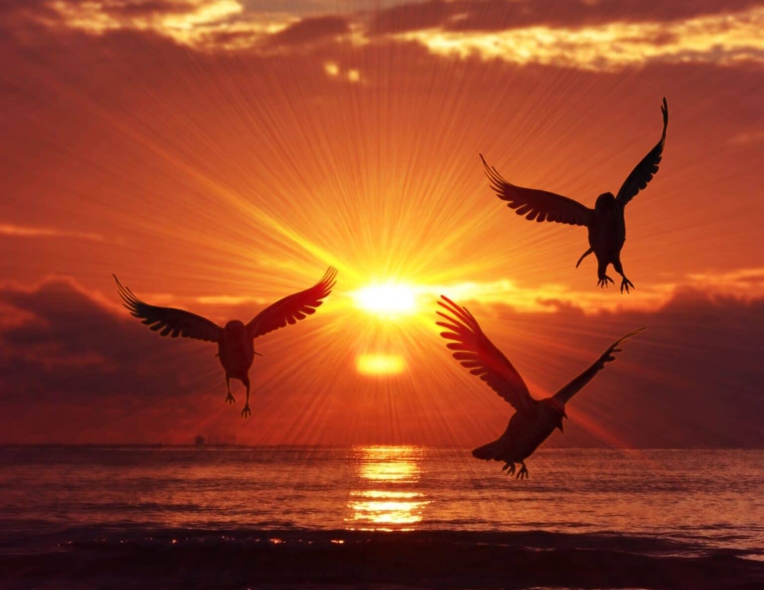 266 Best Sunset Captions For Instagram: Ideas for Everone!