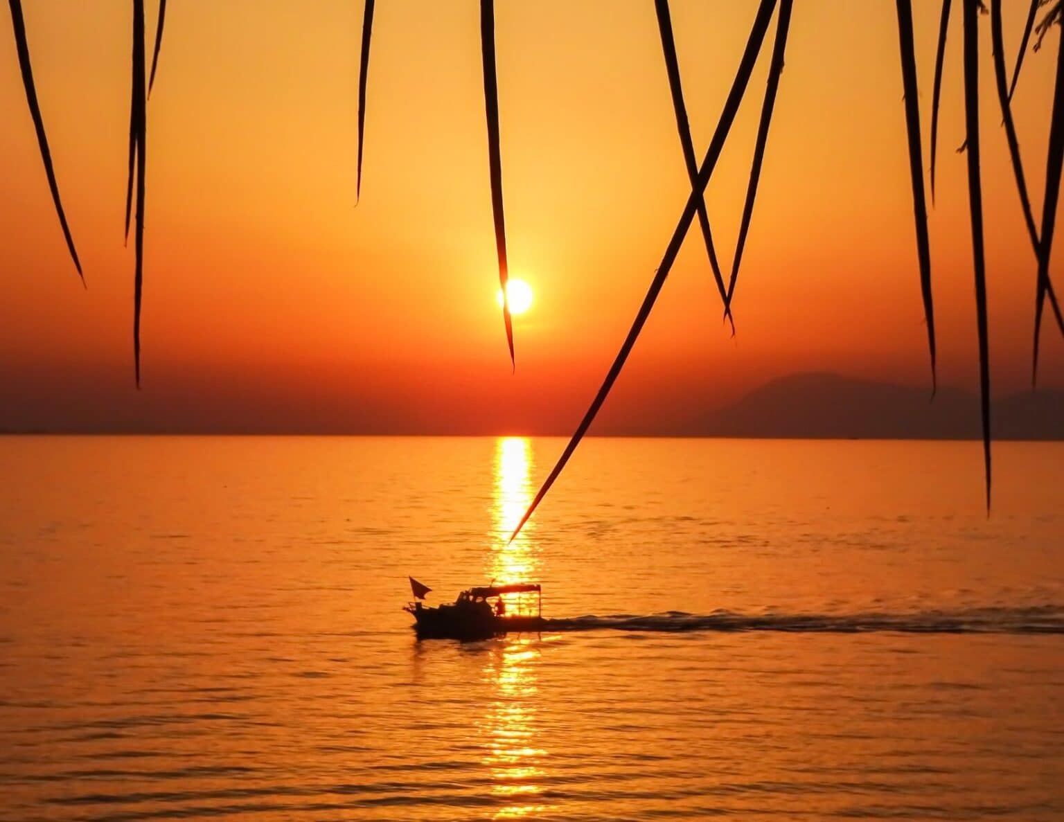 266 Best Sunset Captions For Instagram: Ideas for Everyone!