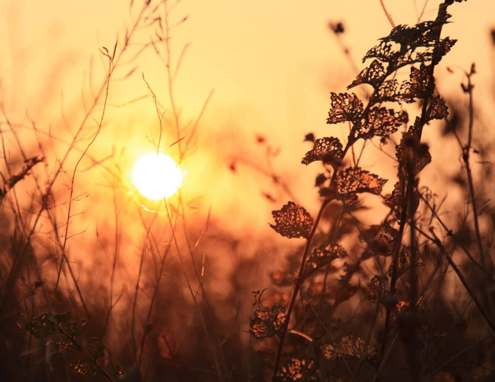 266 Best Sunset Captions For Instagram: Ideas for Everone!