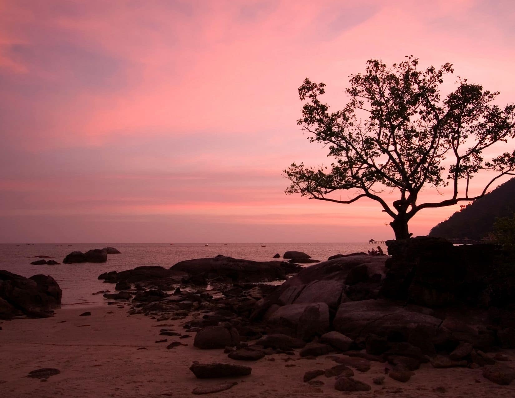 266 Best Sunset Captions For Instagram: Ideas for Everyone!