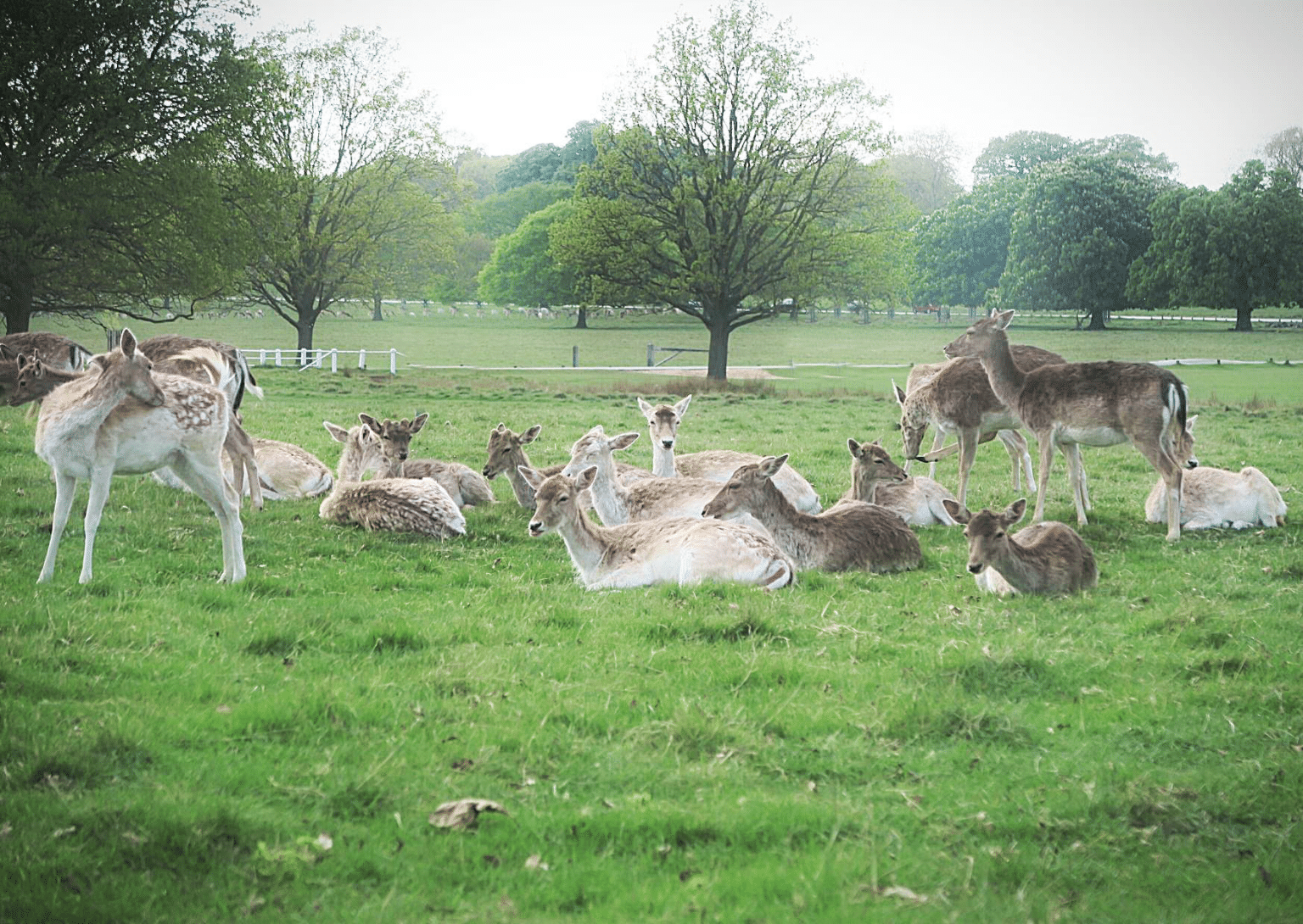 The Ultimate London Bucket List: 35 Things You Need to Do!