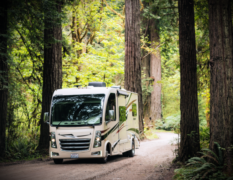 10 Best RV Trips to Take on Your Next Road Trip (2024)