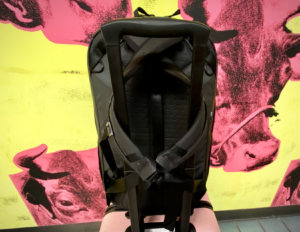 Peak Design Travel Backpack 30L Review: Unpacking the Bag!
