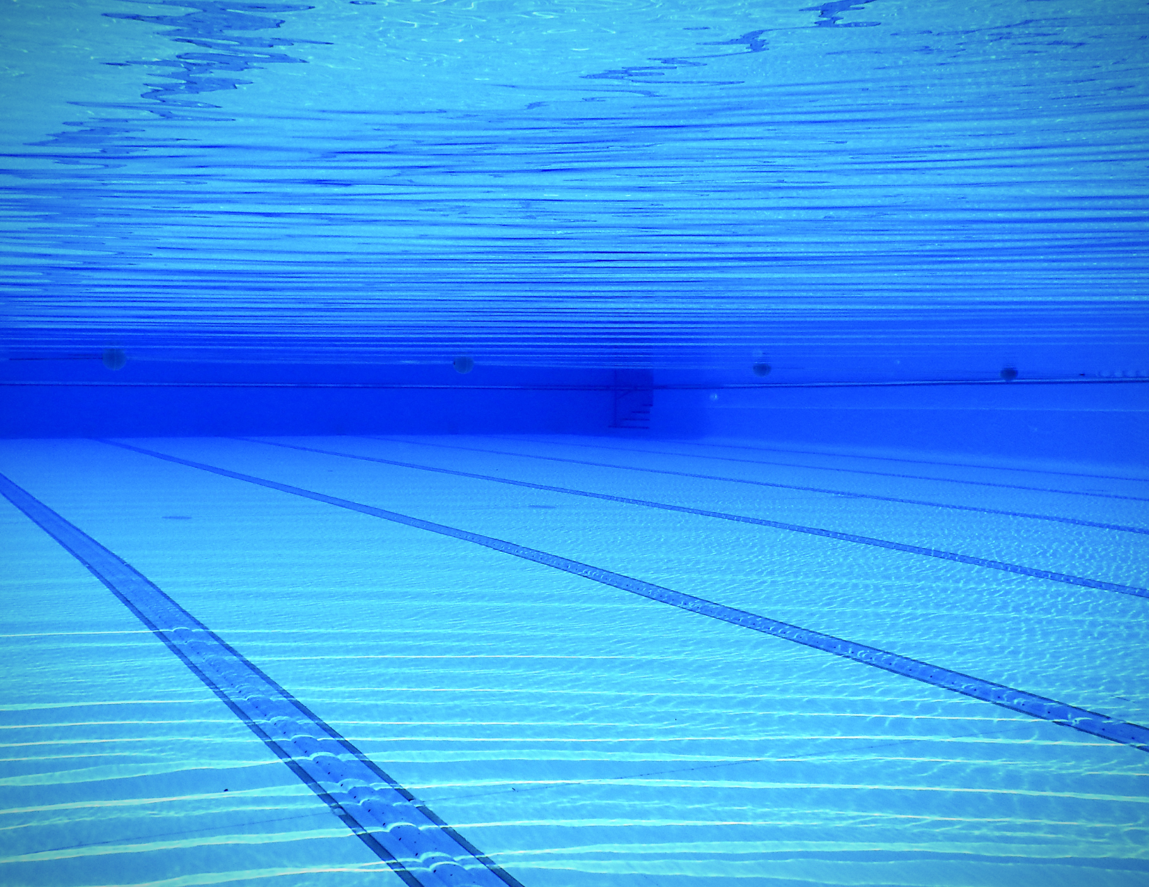 10 Best Rooftop Pools in NYC: Dive into the City's Best Pool