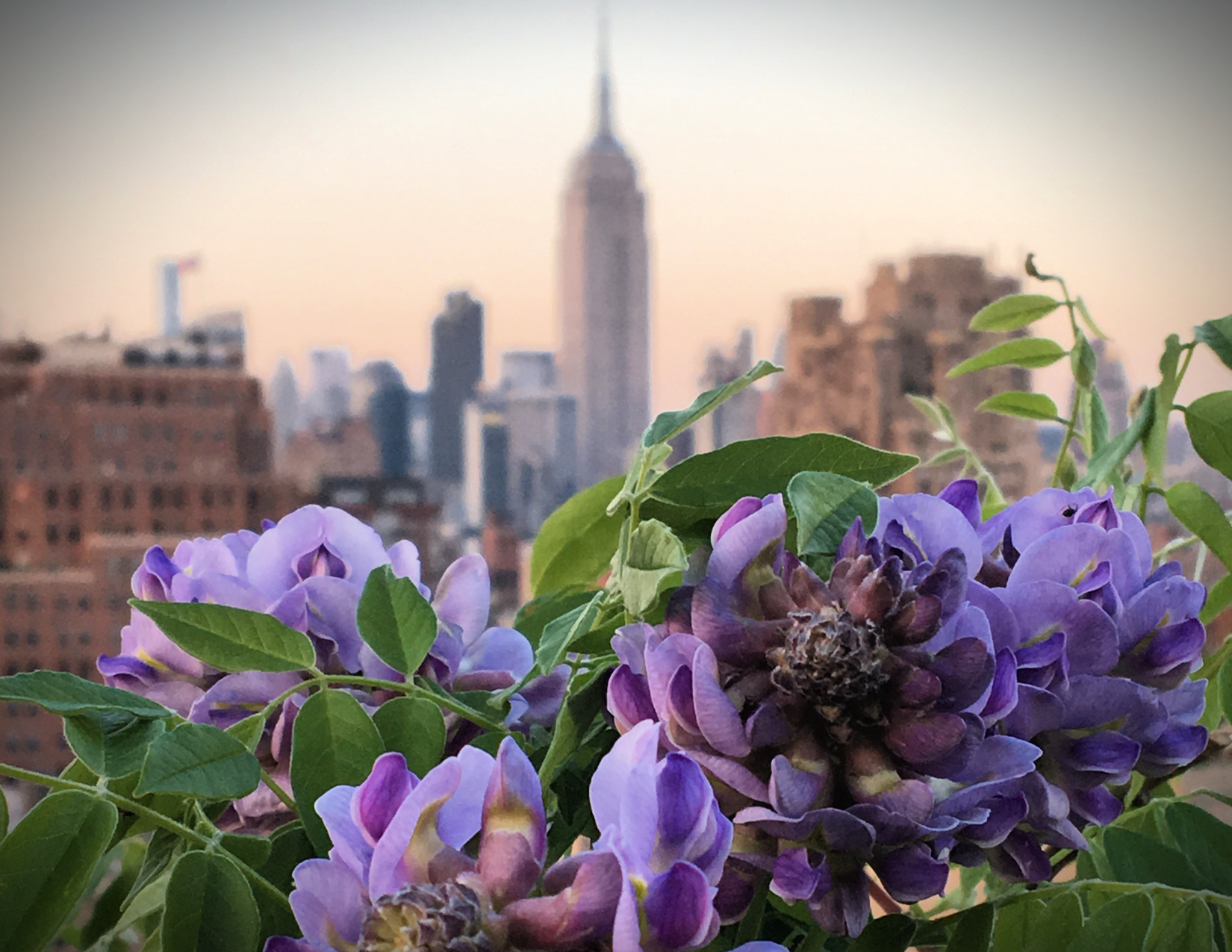 10 Best Rooftop Pools in NYC: Dive into the City's Best Pool