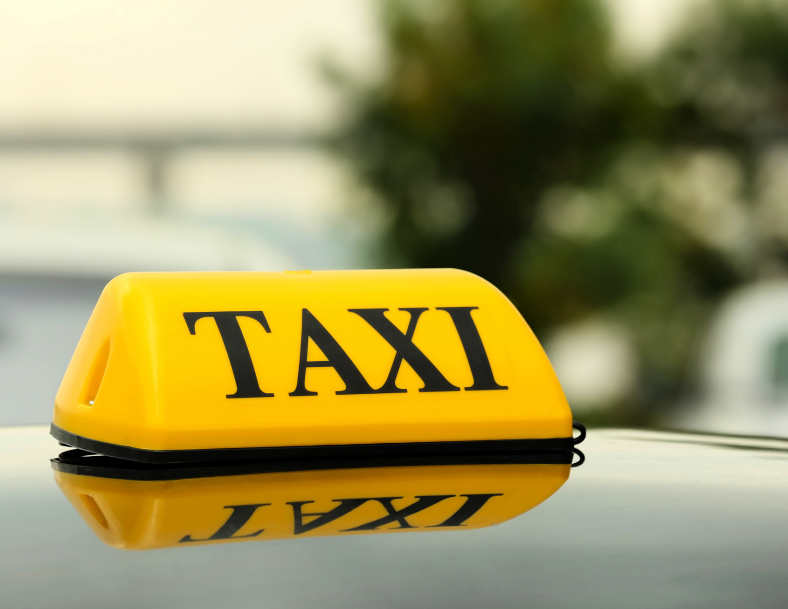 Edinburgh Solo Travel: Tips + 22 Exciting Things to Do Alone