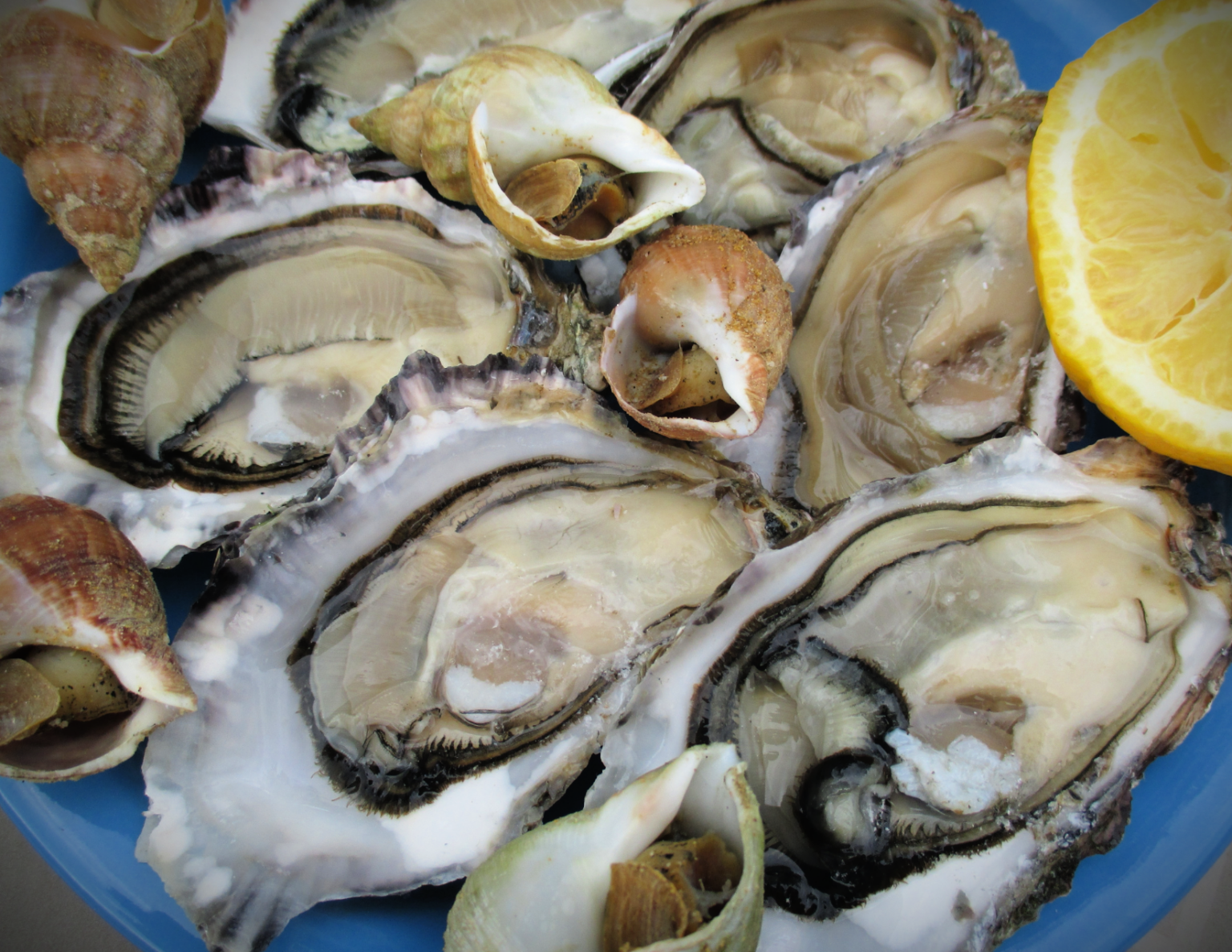 Food to Try in Paris: 24 Must-Taste French Delicacies