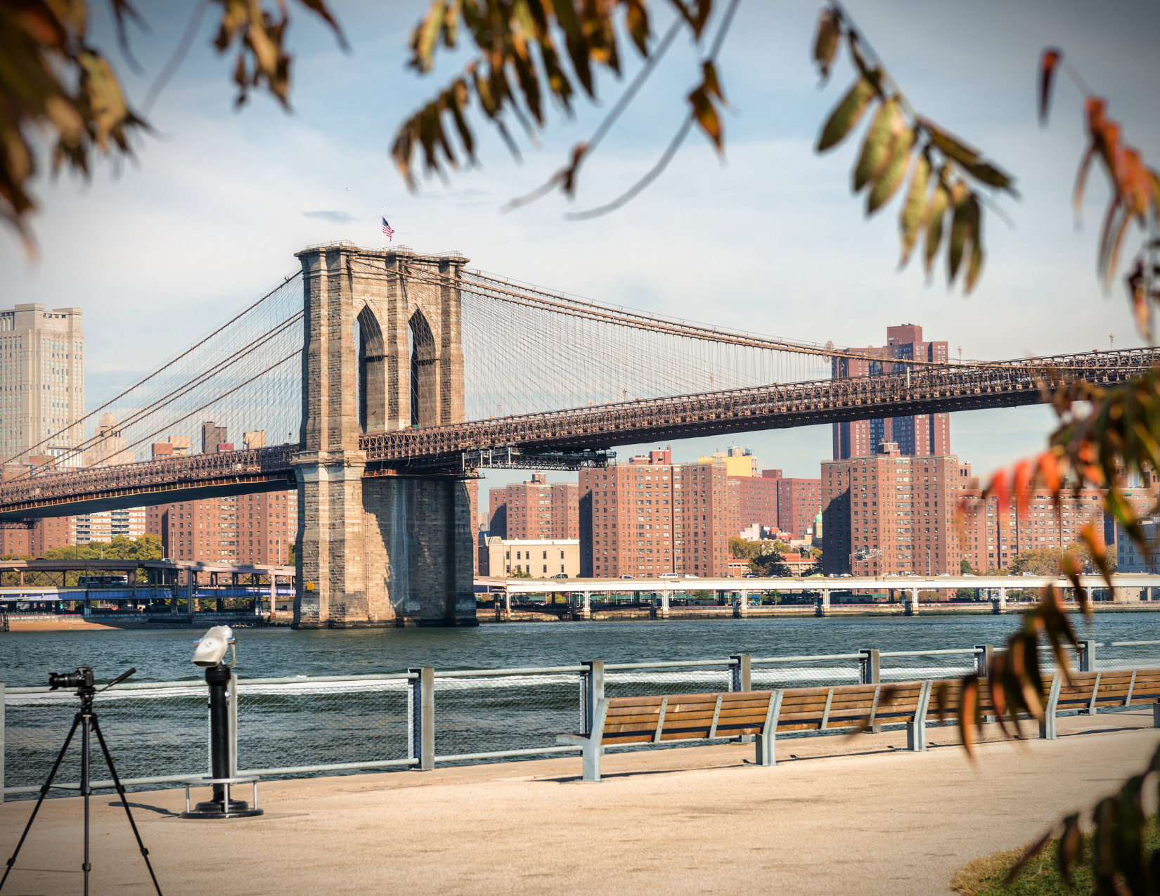 Guide to Walking the Brooklyn Bridge: 10 Tips From a Local