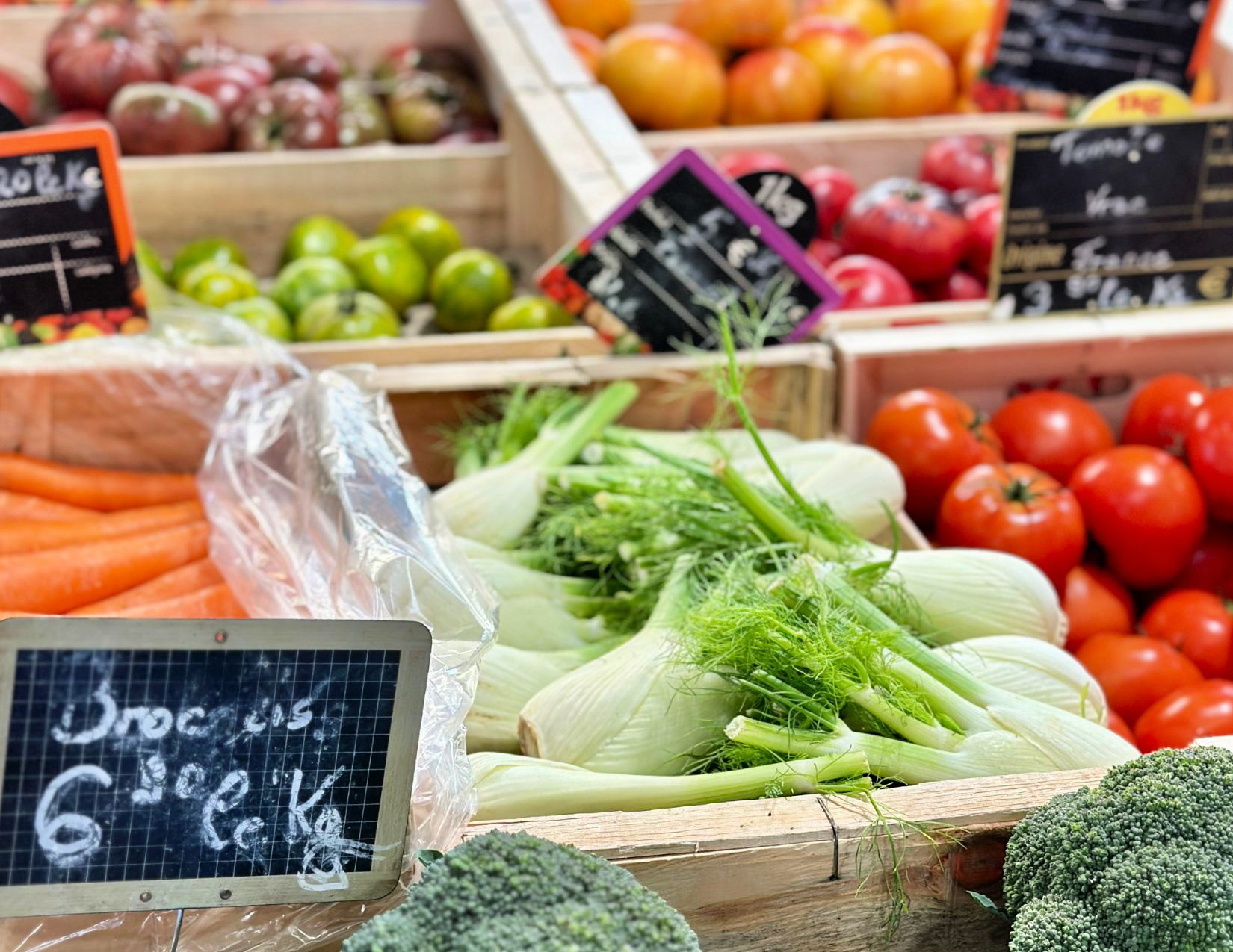 10 Top Things to Do in Cannes: A Riviera Escape Guide