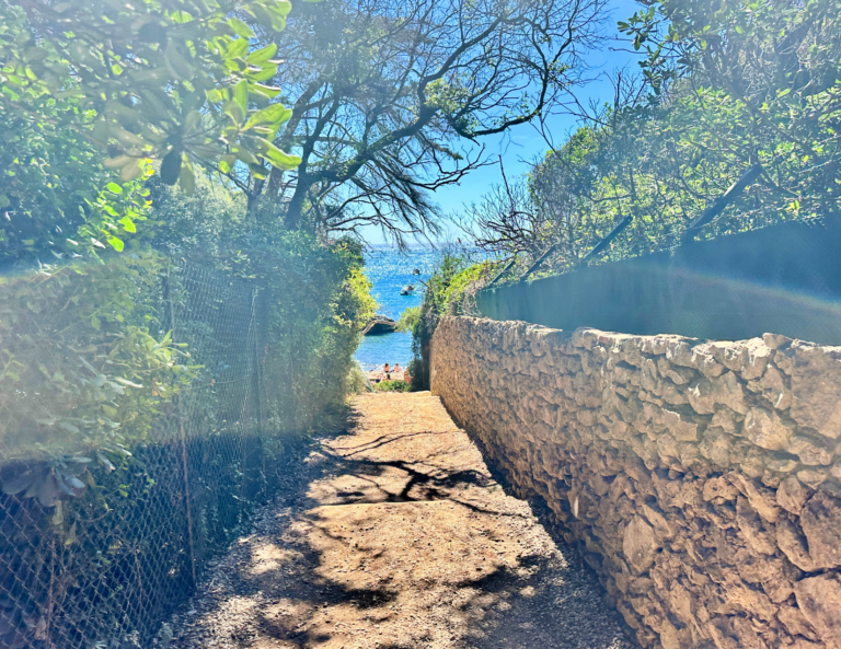 Billionaires Bay Antibes: A Glimpse into Luxury