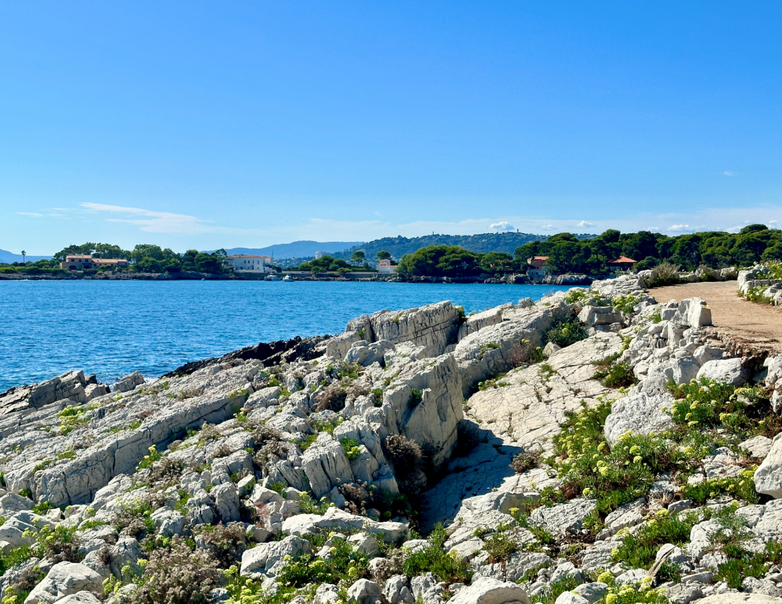 Billionaires Bay Antibes: A Glimpse into Luxury