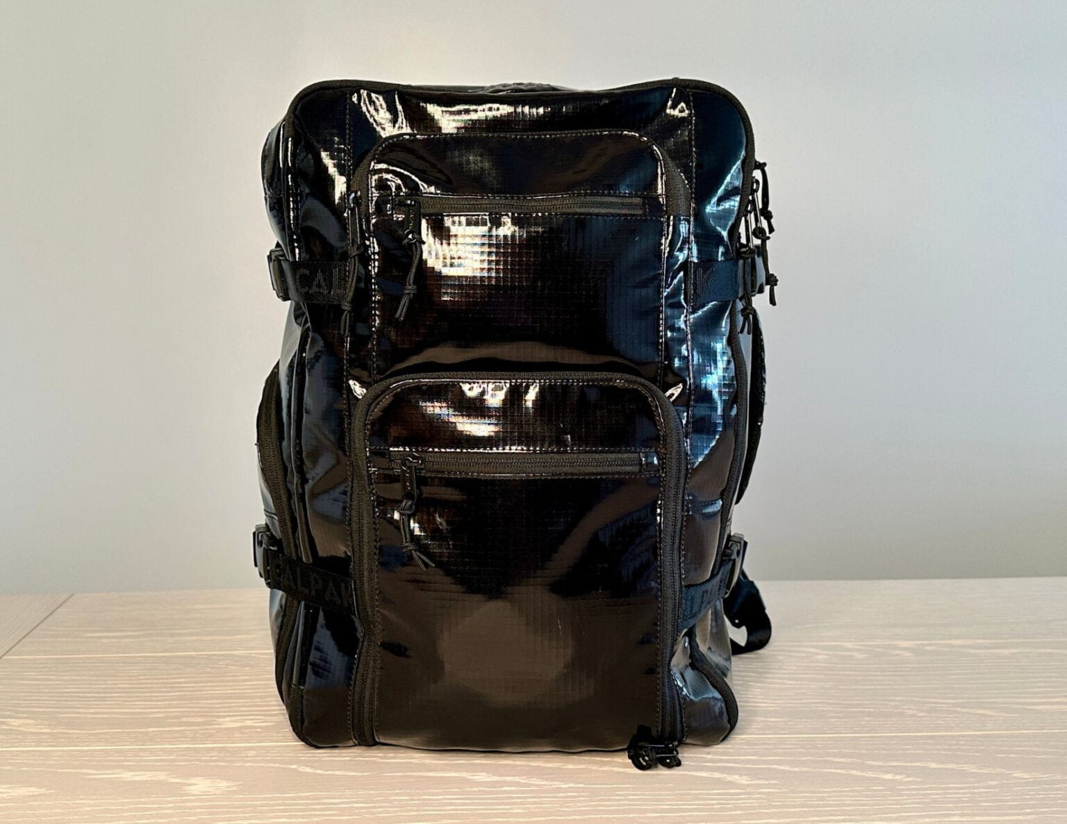 CALPAK Terra Backpack Review: Is It Ultimate Personal Item?