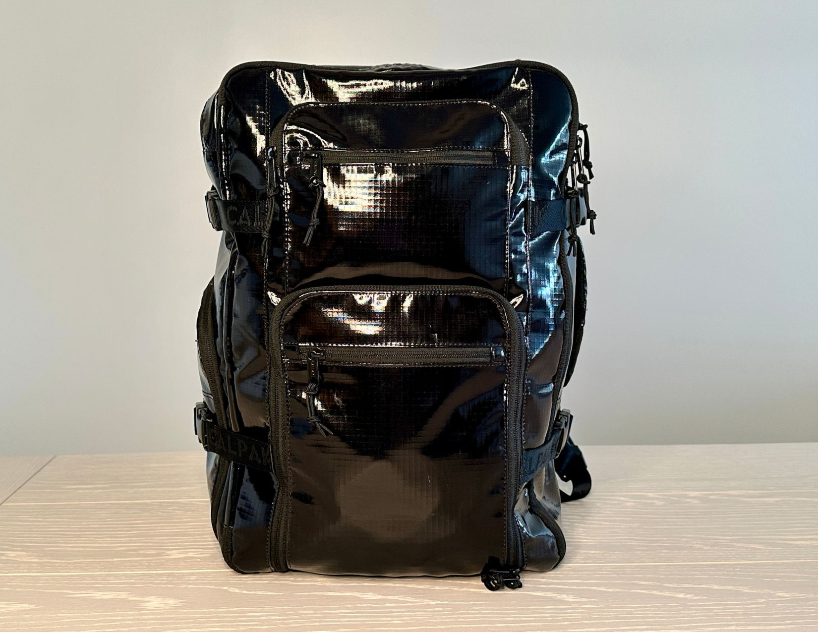 CALPAK Terra Backpack Review: Is It Ultimate Personal Item?
